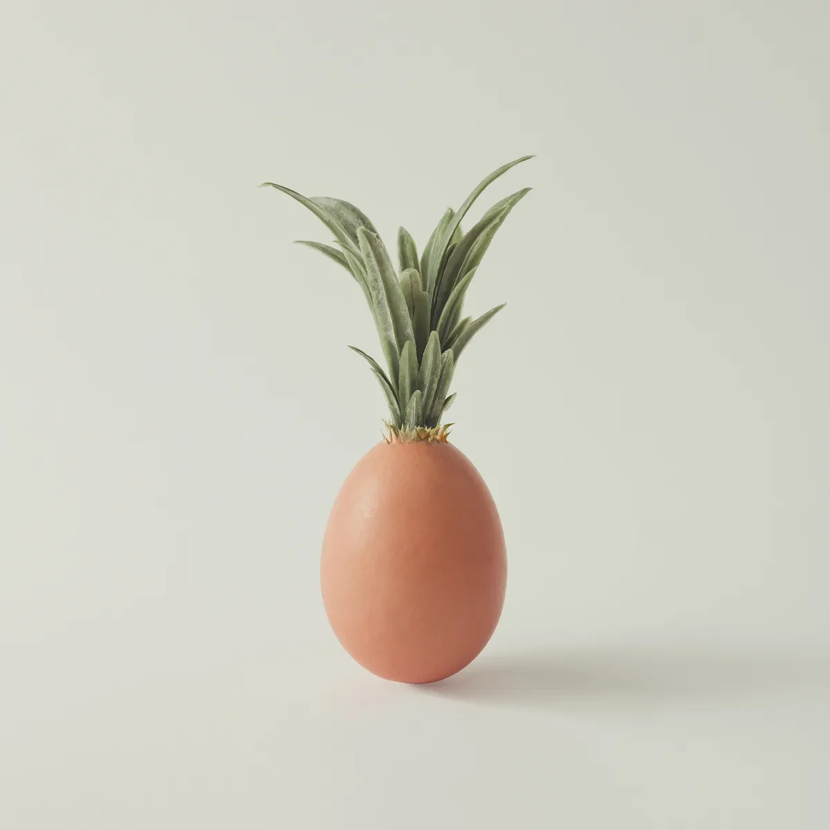 Univision's Clarissa Molina Shares Swimsuit Photo on "Happy Birthday ...