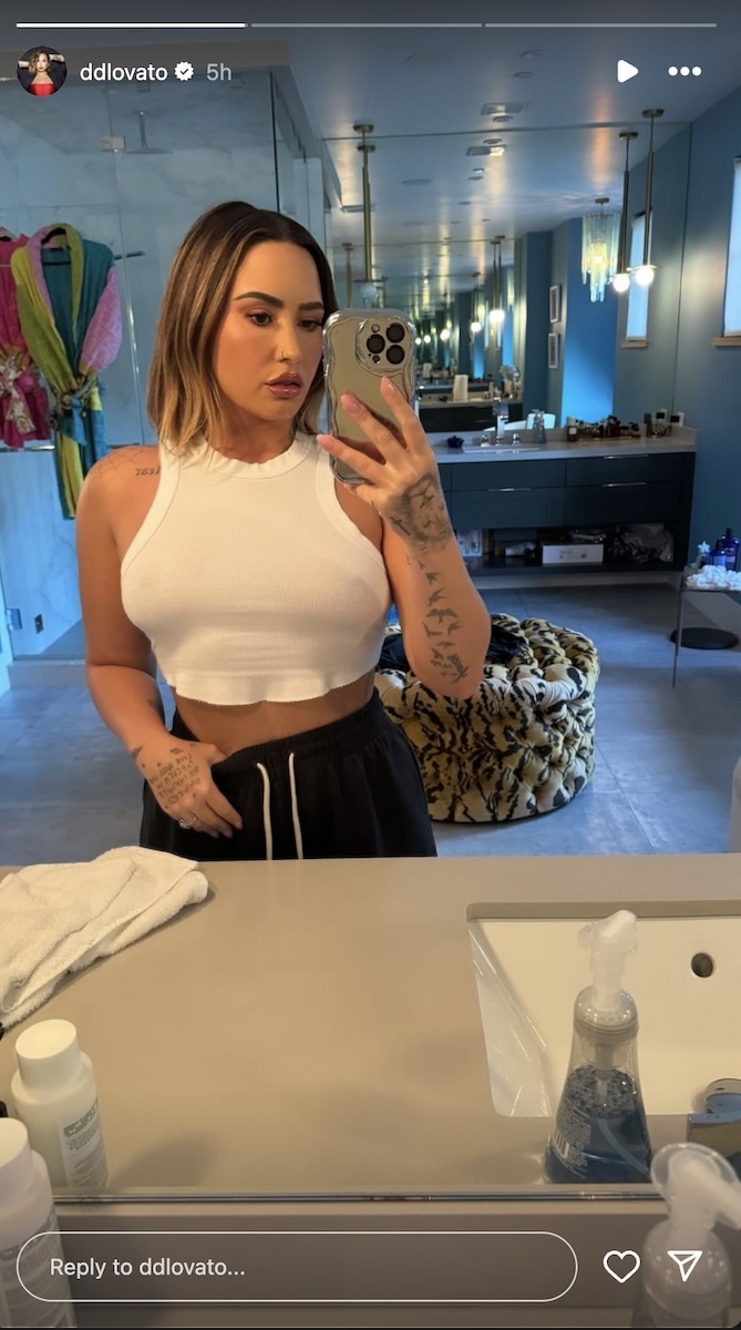 Demi Lovato in Two-Piece Workout Gear Shares a Bathroom Selfie